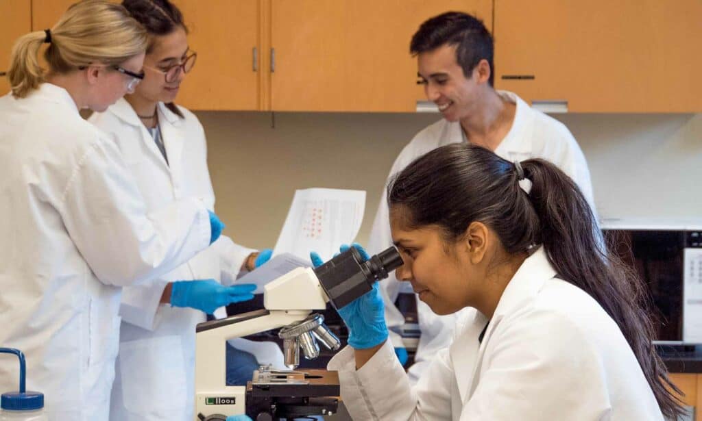 How to Succeed In Genetics: Study Hacks for Pre-Meds – Atlantis